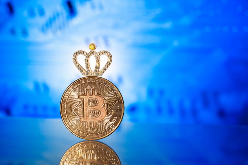 Spies, Enemies and the Bitcoin Queen - 2 Hare Court | London Barristers ...